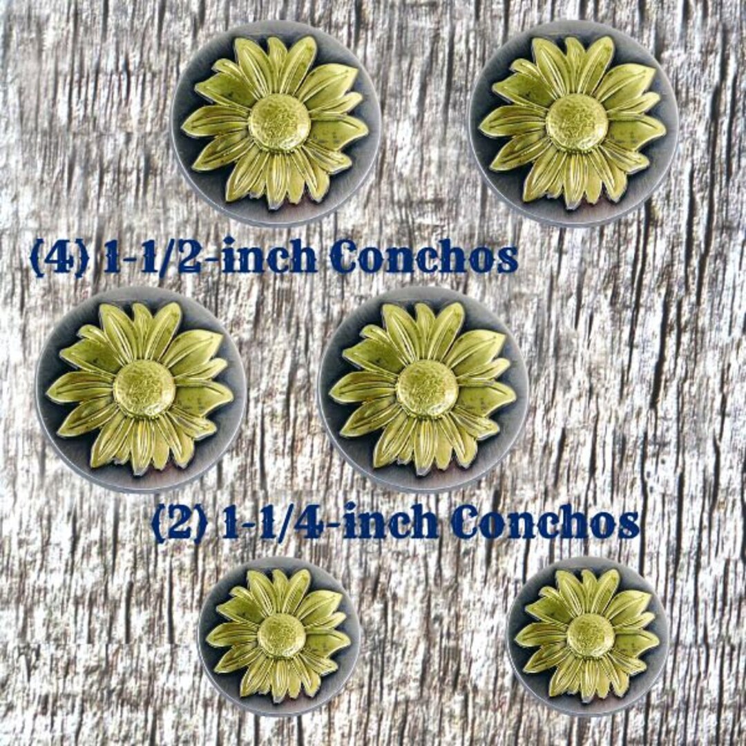 Golden Flower Concho Saddle Set-2 - Etsy