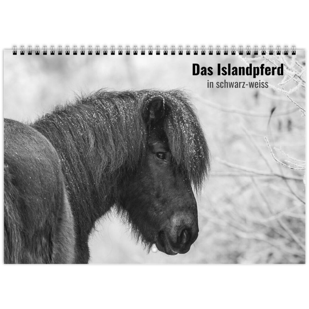 Icelandic Horse Calendar 2024 black and White - Etsy