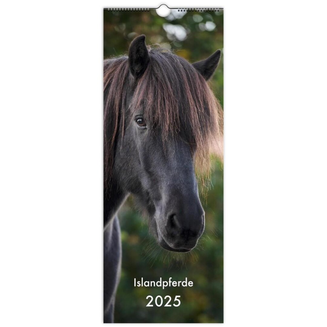 Icelandic Horse Calendar 2025 - Etsy UK
