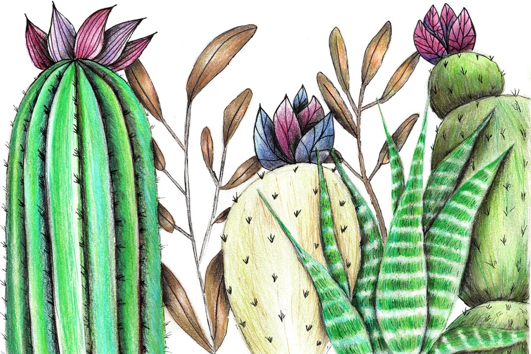 Cactus Colored Pencil and Ink - Etsy