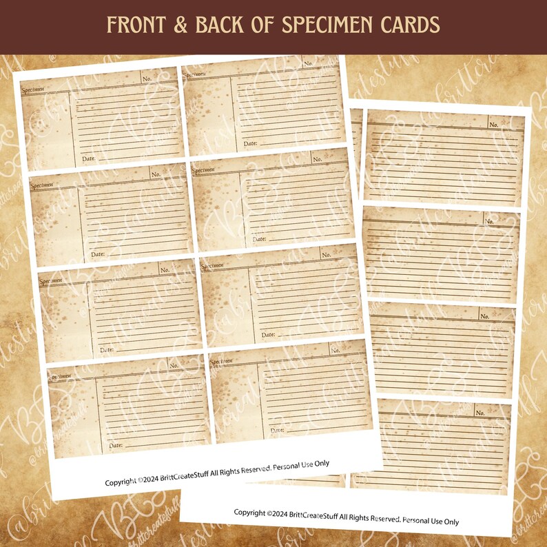 Printable Specimen Index Cards, Viewers, and Matching Pockets Vintage ...