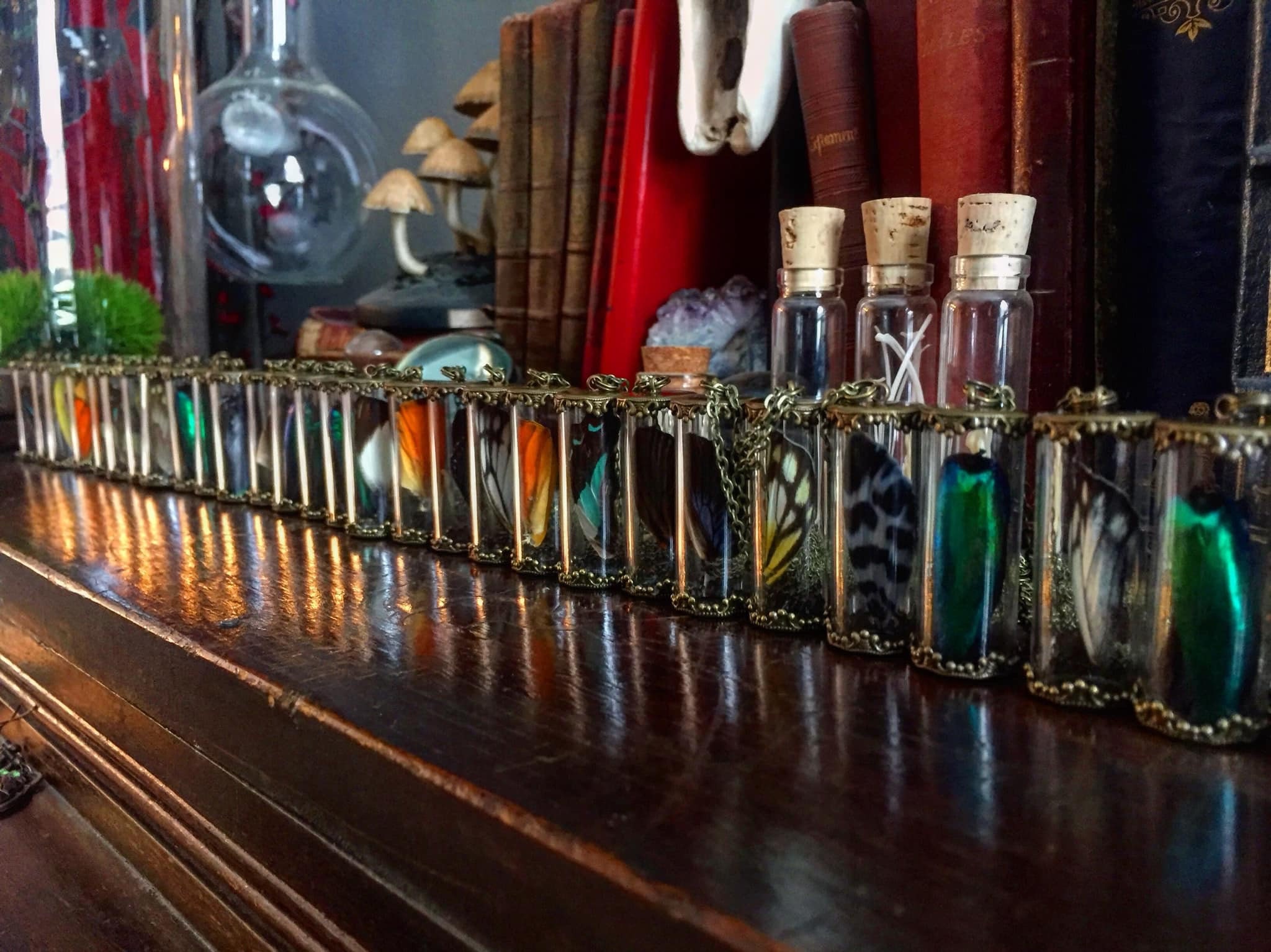 Specimen Vial Real Butterfly Wing/beetle Wing Necklace - Etsy