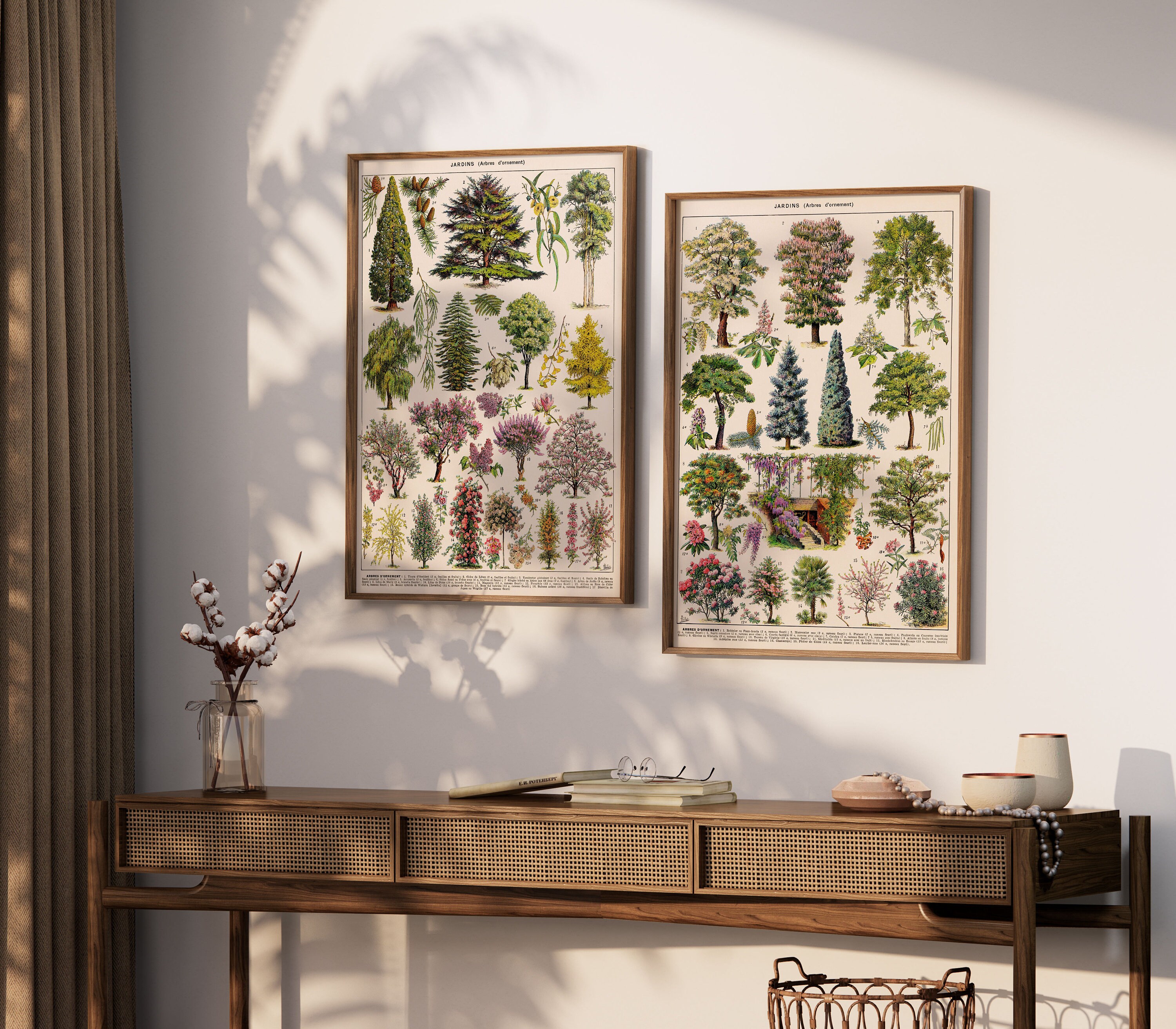 Set of 2 Vintage Tree Botanical Print, Millot Poster, Vintage Tree ...