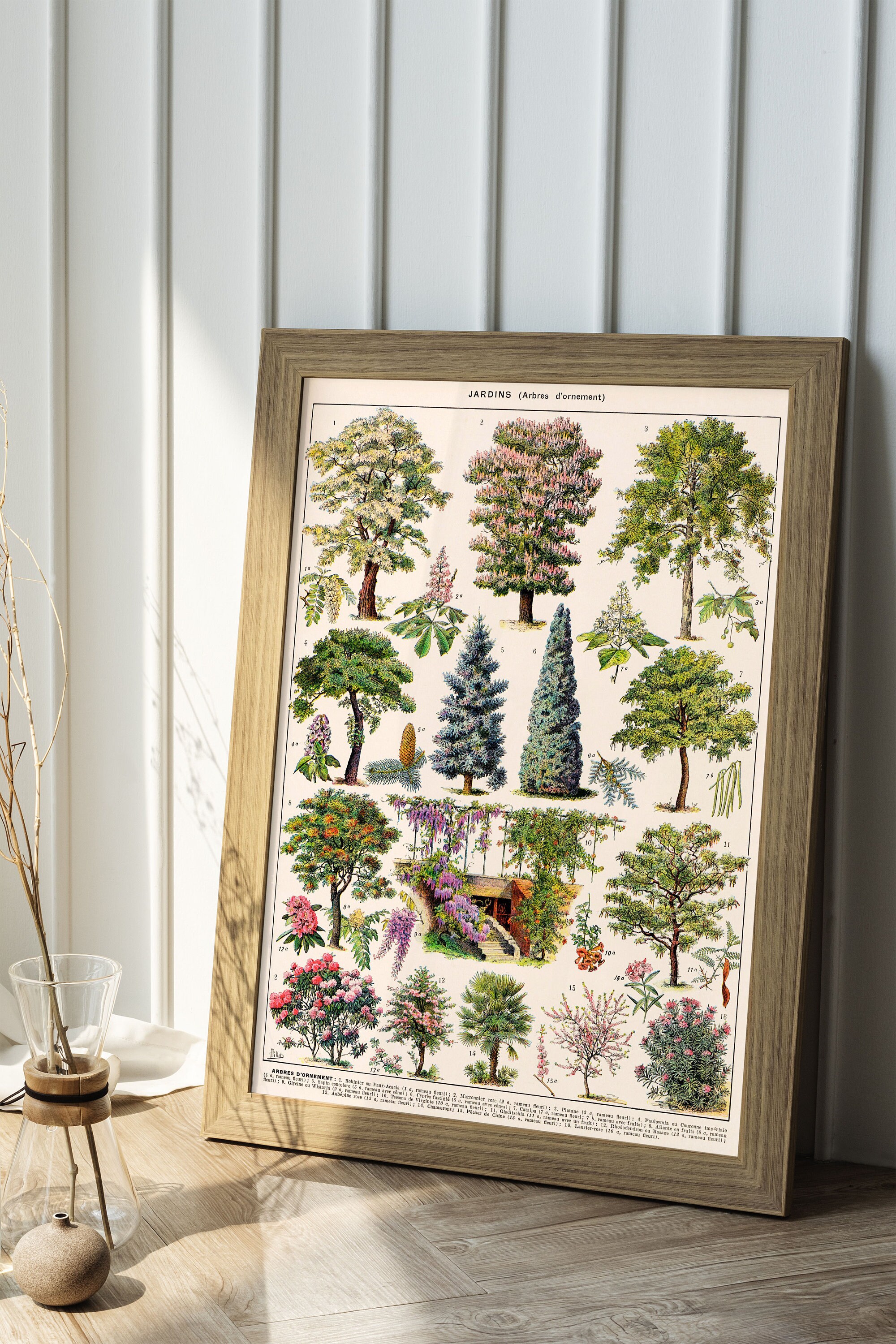 Set of 2 Vintage Tree Botanical Print, Millot Poster, Vintage Tree ...
