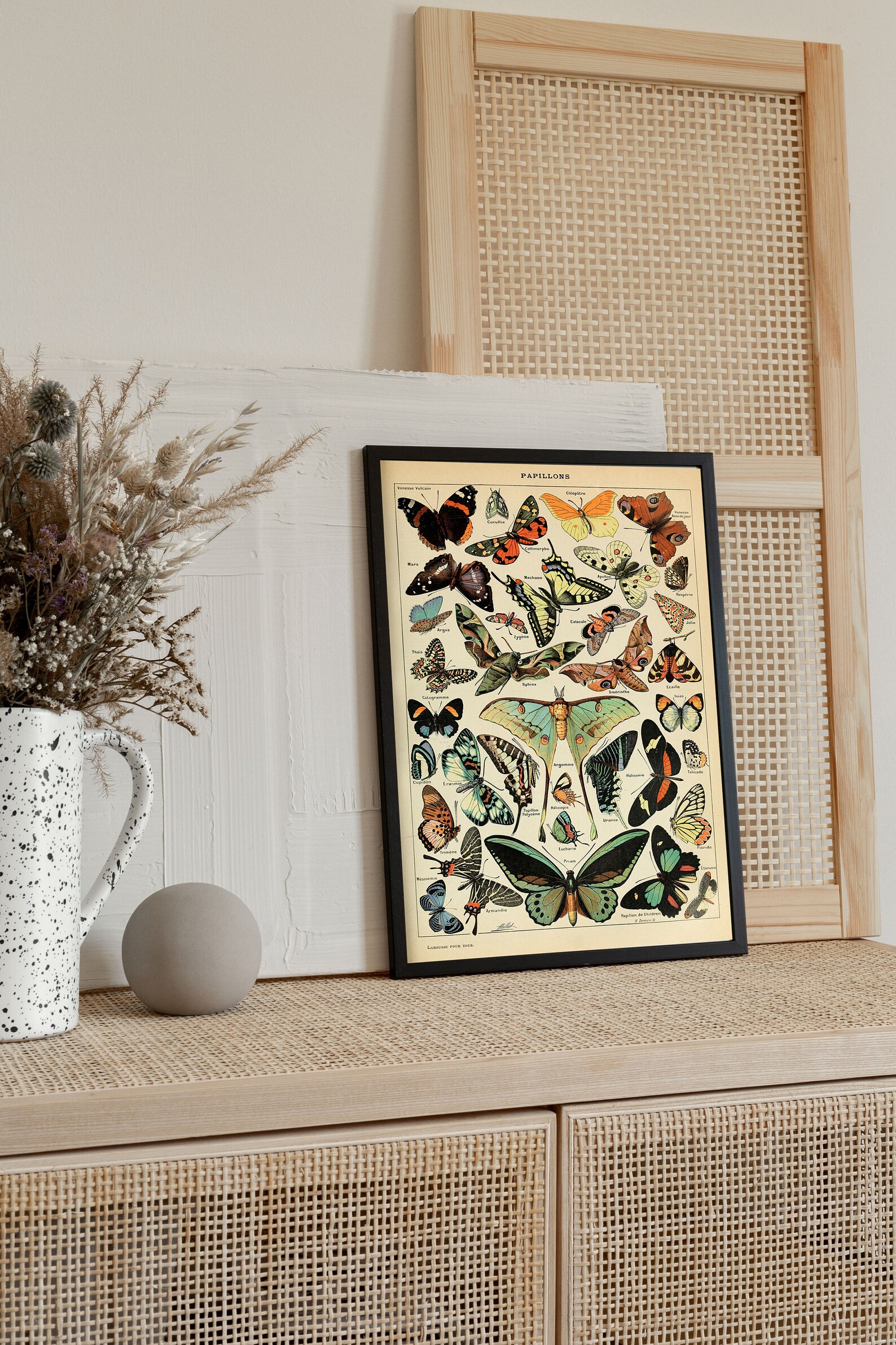 Vintage Butterfly Print Buttefrlies Poster Butterfly Poster - Etsy