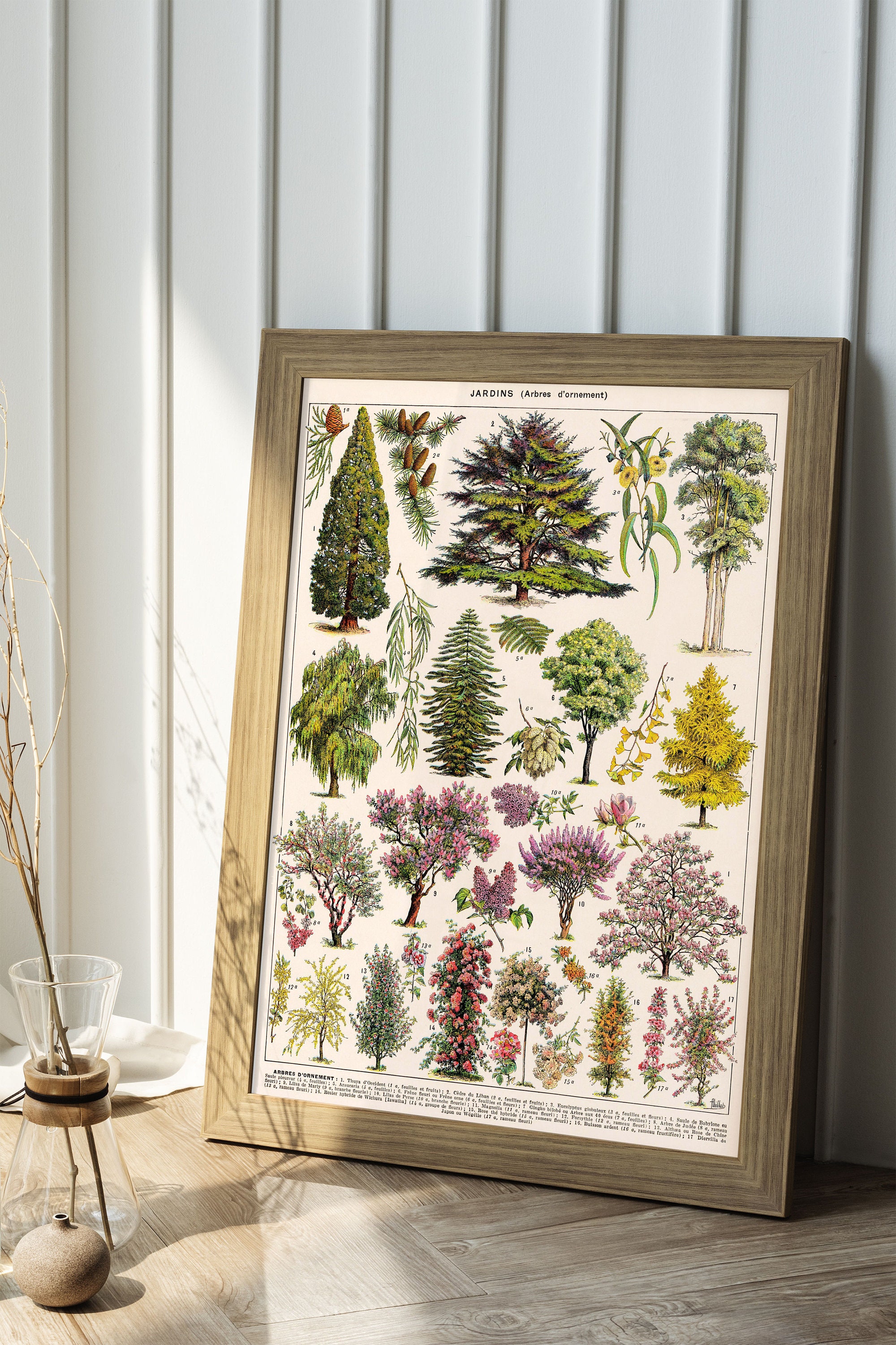 Set of 2 Vintage Tree Botanical Print, Millot Poster, Vintage Tree ...