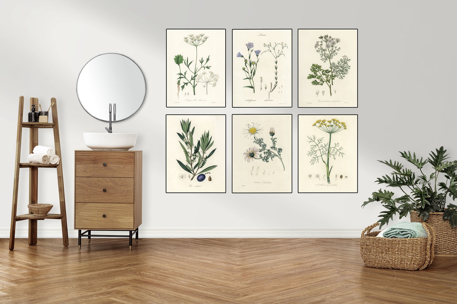Set of 6 Botanical Print Set of 6 Vintage Prints Set of 6 - Etsy