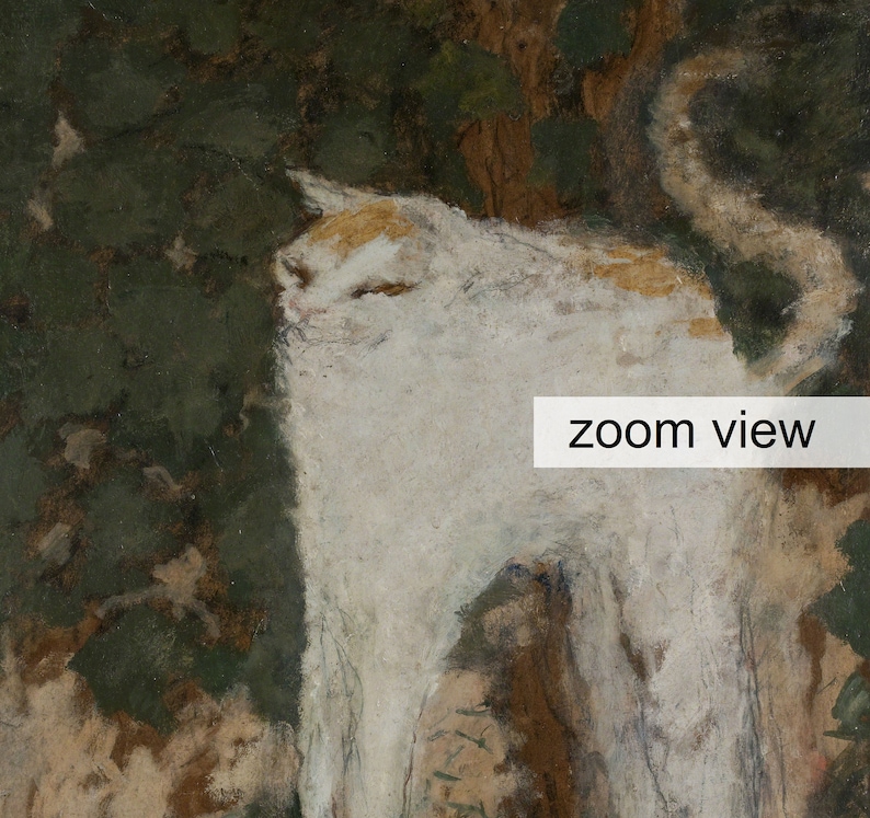 Le Chat Blanc 1894 by Pierre Bonnard Print, the White Cat Print, Pierre ...