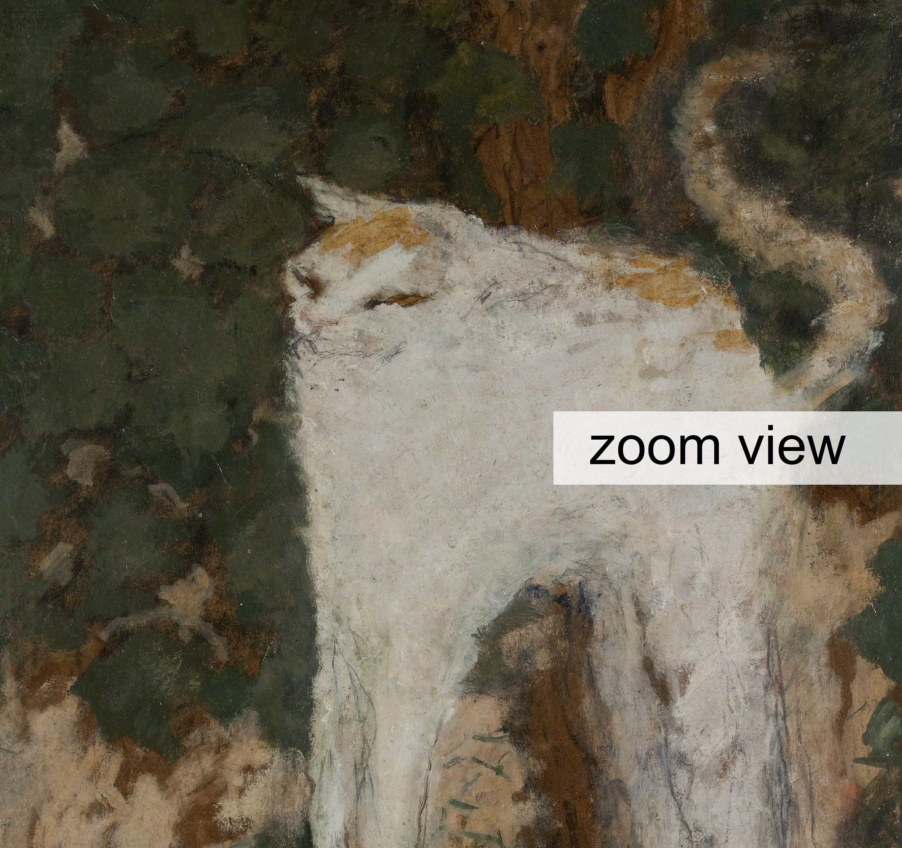 Le Chat Blanc 1894 by Pierre Bonnard Print, the White Cat Print, Pierre ...