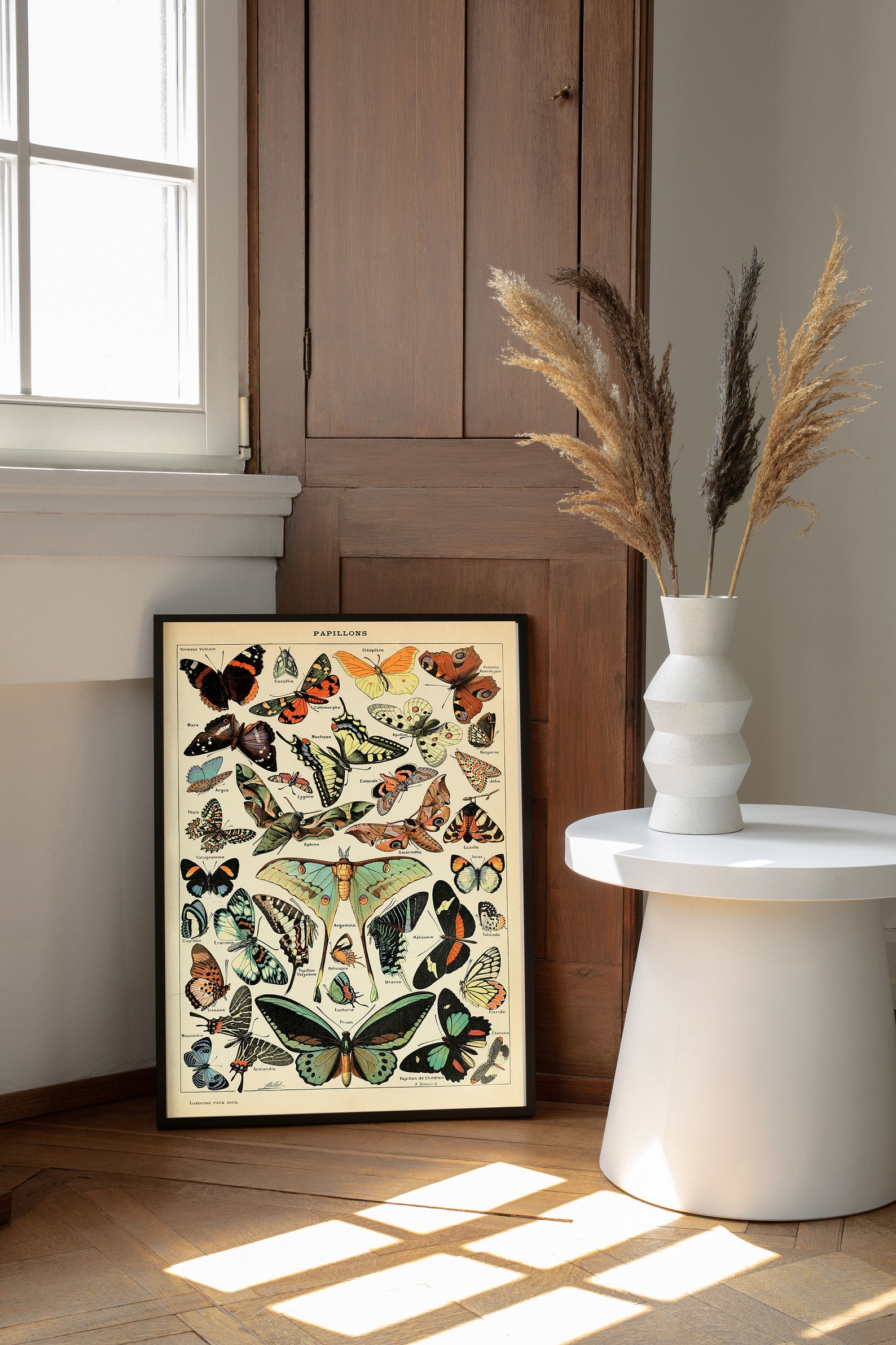 Vintage Butterfly Print, Buttefrlies Poster, Butterfly Poster ...
