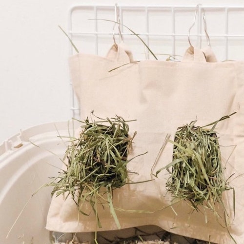 Bunny O's Cereal Treat Rabbit Fruit Loops Inspired Treat | Etsy