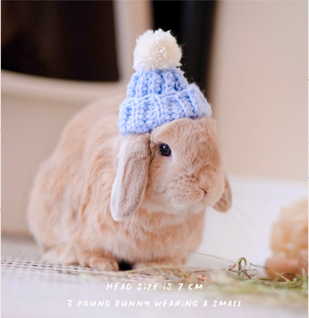 Bunny Beanie | for Lop-eared Rabbits - Etsy