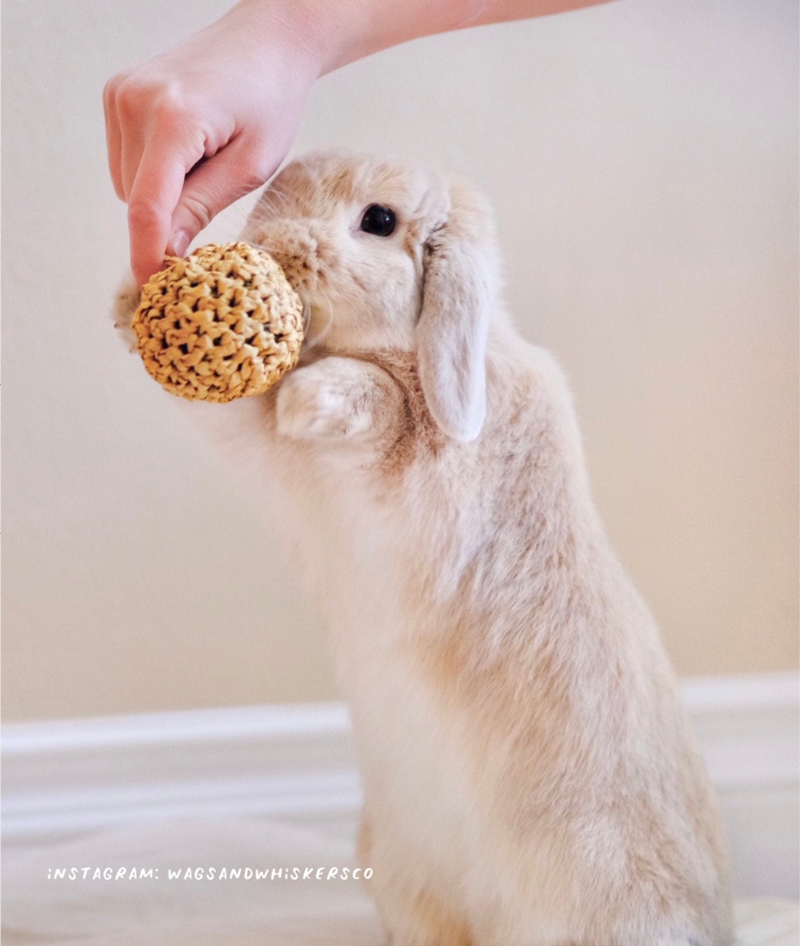 DIY Ball Chew for Rabbits - Etsy