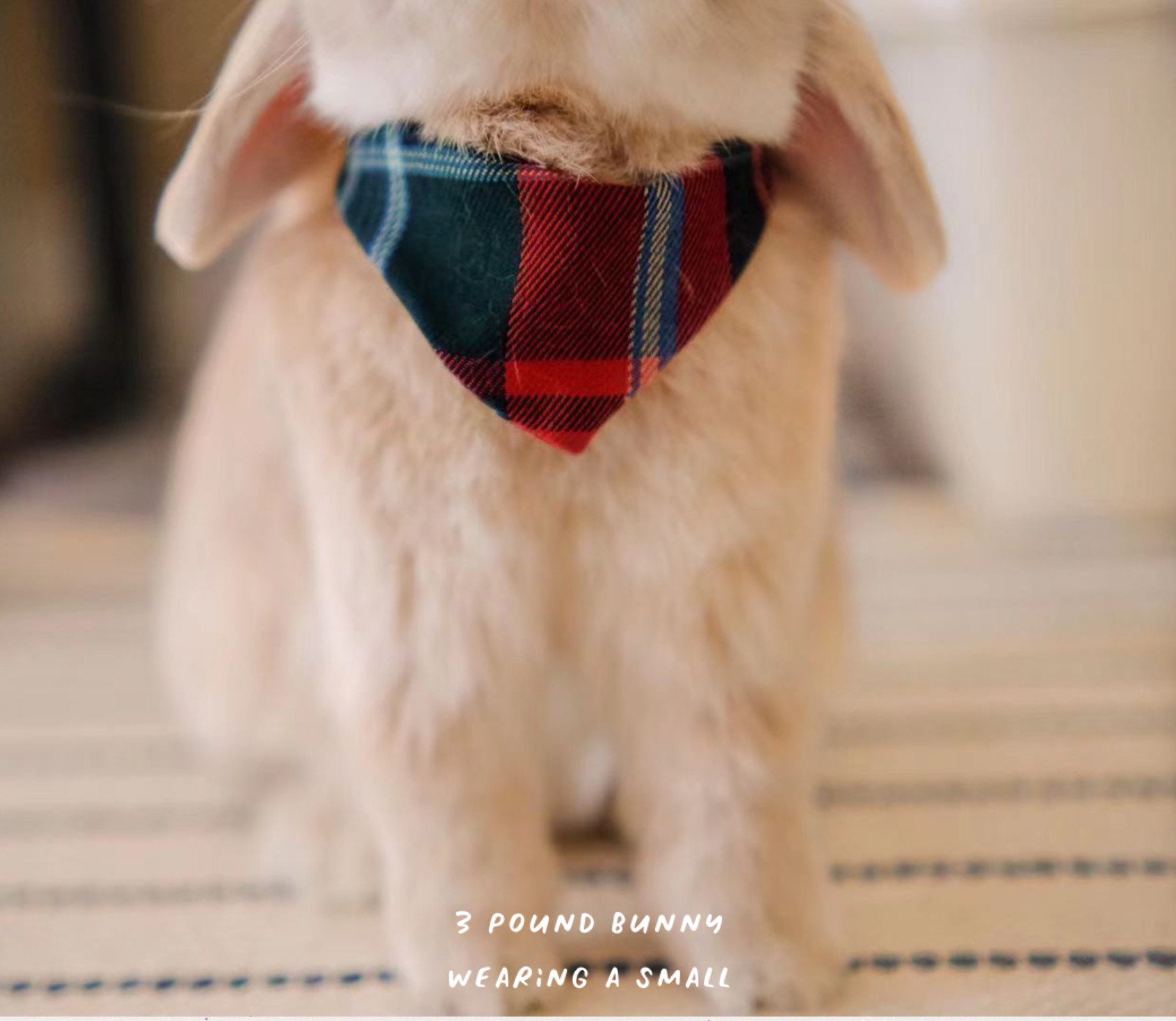 Bandanas for small pets rabbits SMALL AND LARGE | Etsy