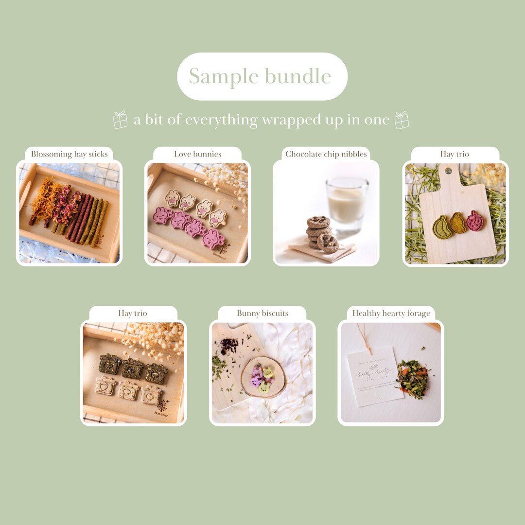 Sample Bundle Oat and Hay Based Treats for Small Pets - Etsy