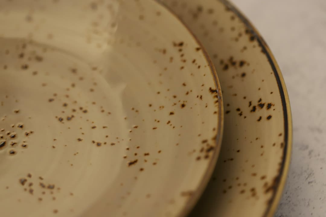 Porcelain Speckled Round Ceramic Plates - Etsy
