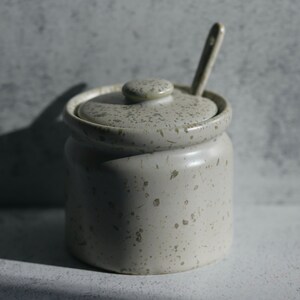 Ceramic Sugar Pot With Spoon/salt Cellar/spice Pot - Etsy