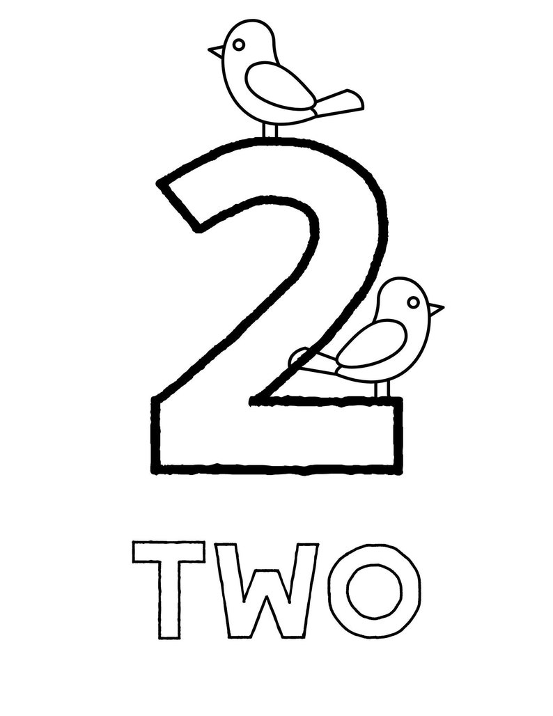 Counting Worksheet - Etsy