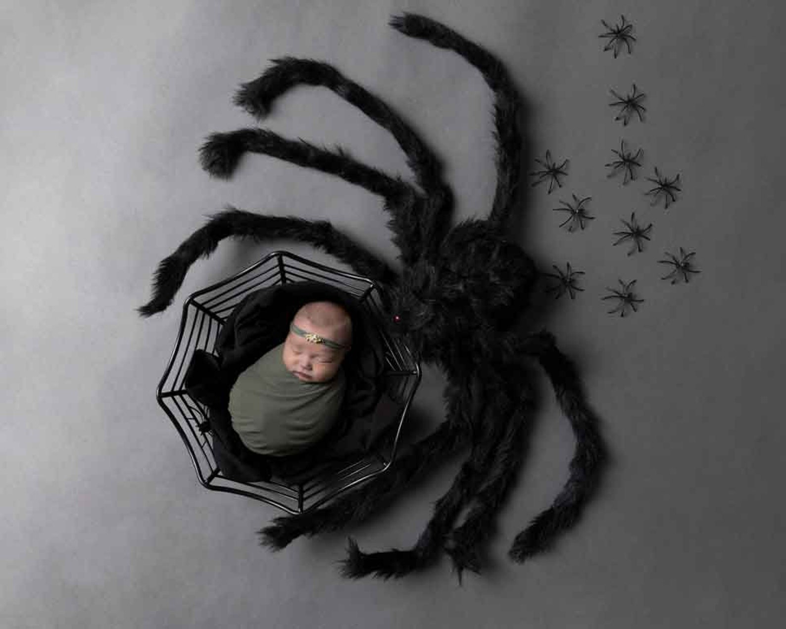 Halloween Newborn Digital Backdrop - Digital Backgrounds - Spooky ...