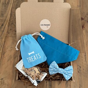 Puppy Welcome Gift Box. Letterbox Gift. Puppy Gift - Etsy