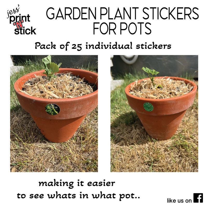 Garden Plant Stickers-20mm-25 Pack-various - Etsy