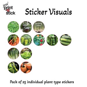 Garden Plant Stickers-20mm-25 Pack-various - Etsy