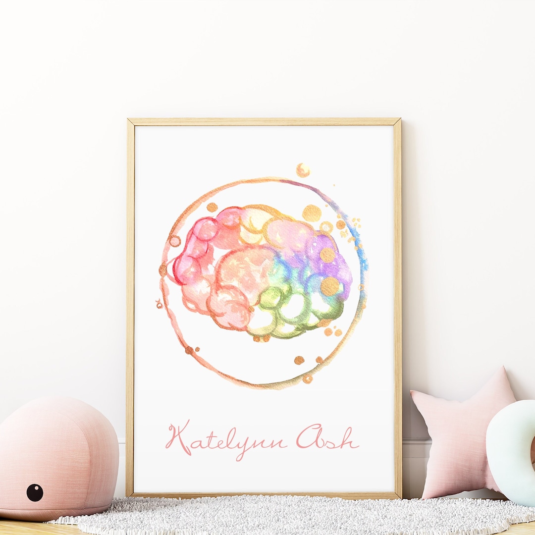 Custom Watercolor Embryo Art: Rainbow Baby Nursery Decor - Etsy