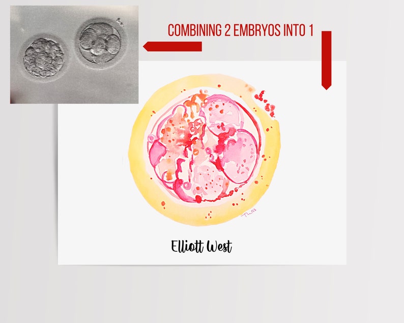 Custom Watercolor Embryo Art: Rainbow Baby Nursery Decor - Etsy