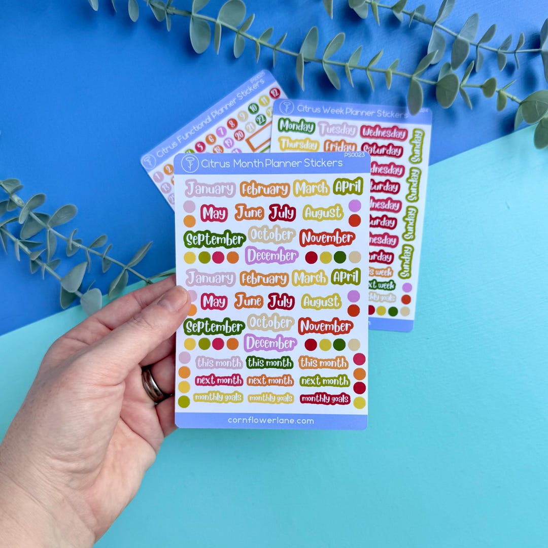 Citrus Planner Stickers - Monthly & Weekly Journaling Stickers - Etsy