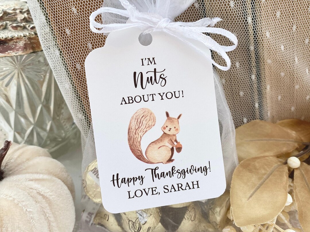 Squirrel Favor Gift Tags, I'm Nuts About You Favor Candy Gift Bags ...