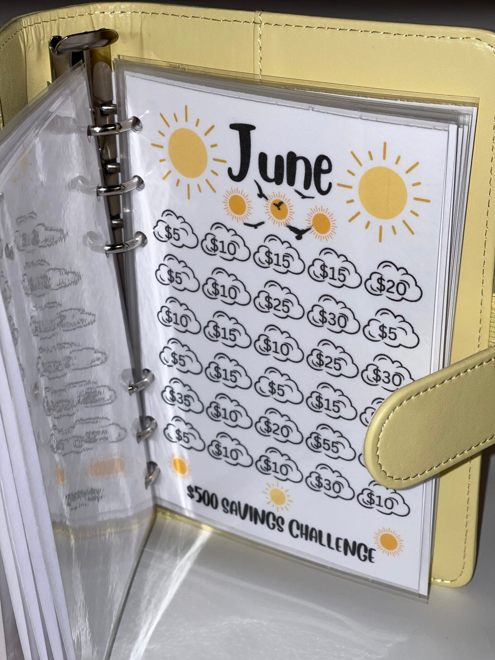 Monthly Savings Challenge Budget Binder A6 Size Cash - Etsy