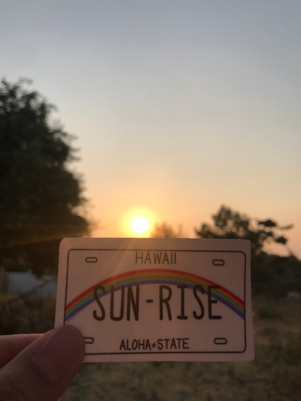 HAWAII SUNRISE LICENSE Plate Individual Vinyl Water/ Weatherproof ...