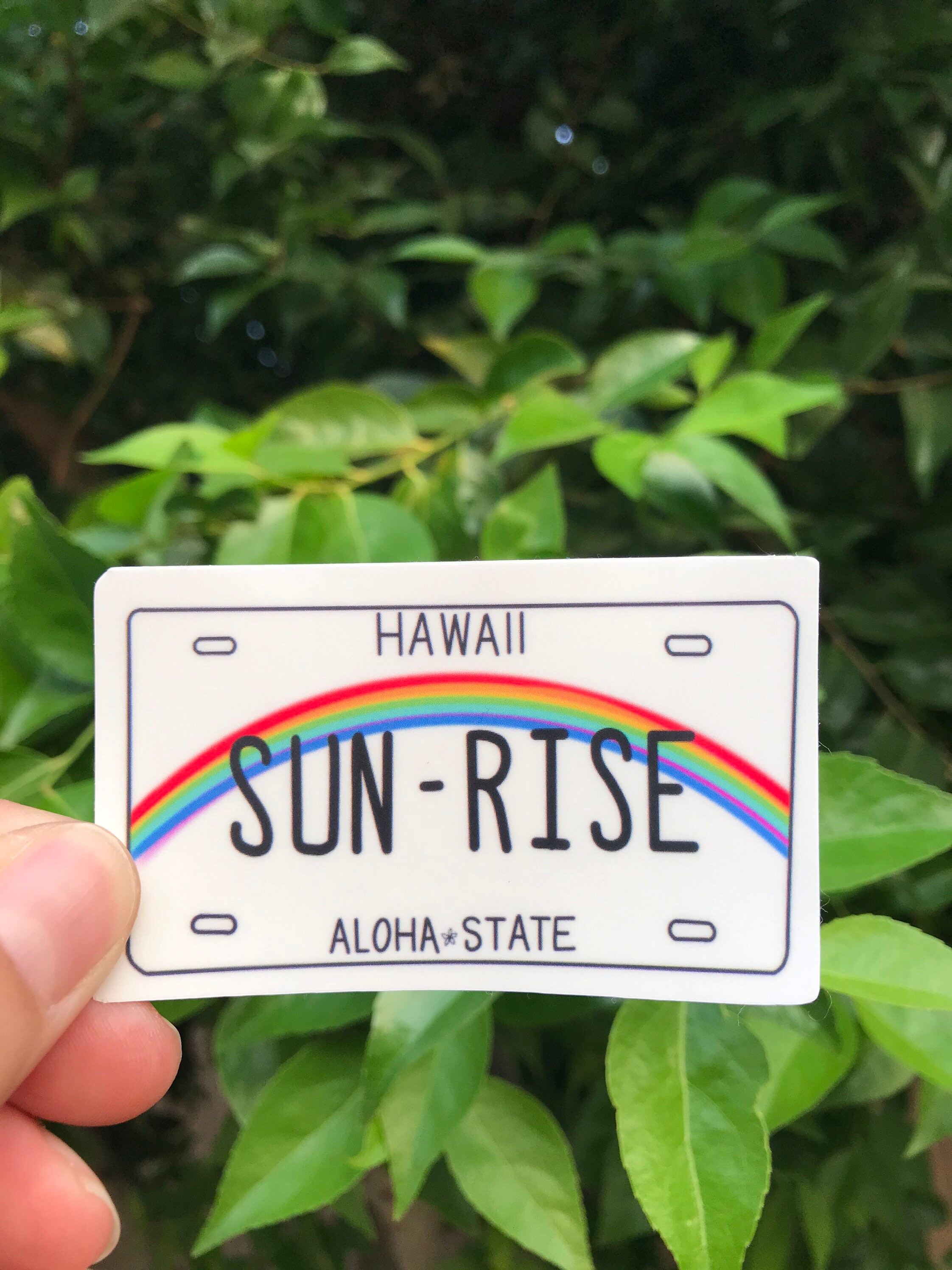 HAWAII SUNRISE LICENSE Plate Individual Vinyl Water/ Weatherproof ...