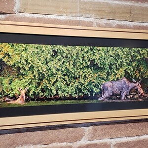 Wood Picture Frame / Custom Wood Frame / Fine Art Printing & Framing ...