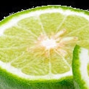 Pure Bergamot Essential Oil: Therapeutic Grade, Cold Pressed - Etsy