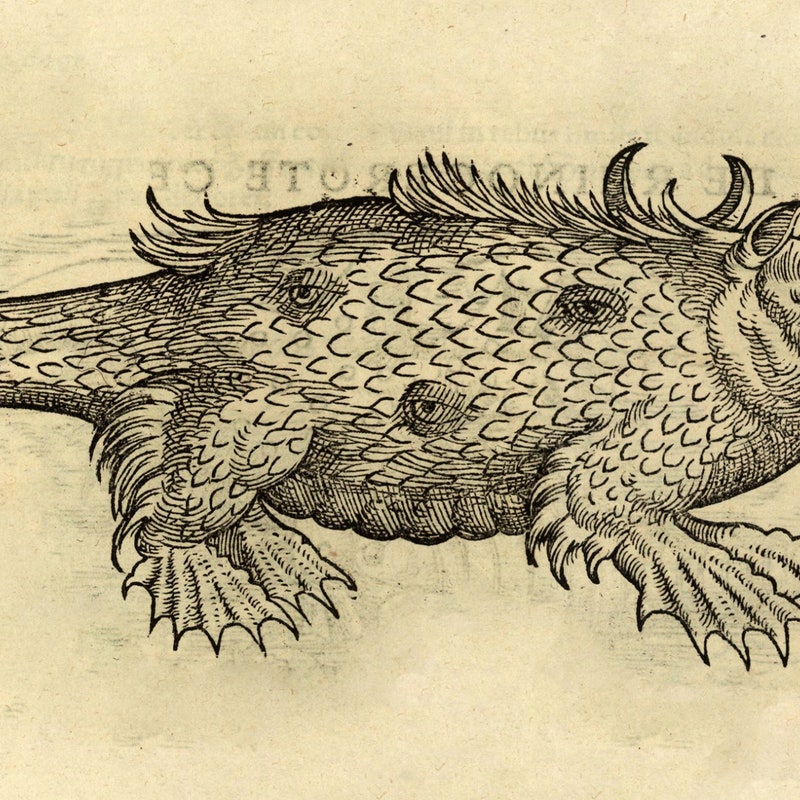 Sea Monster Print - Etsy