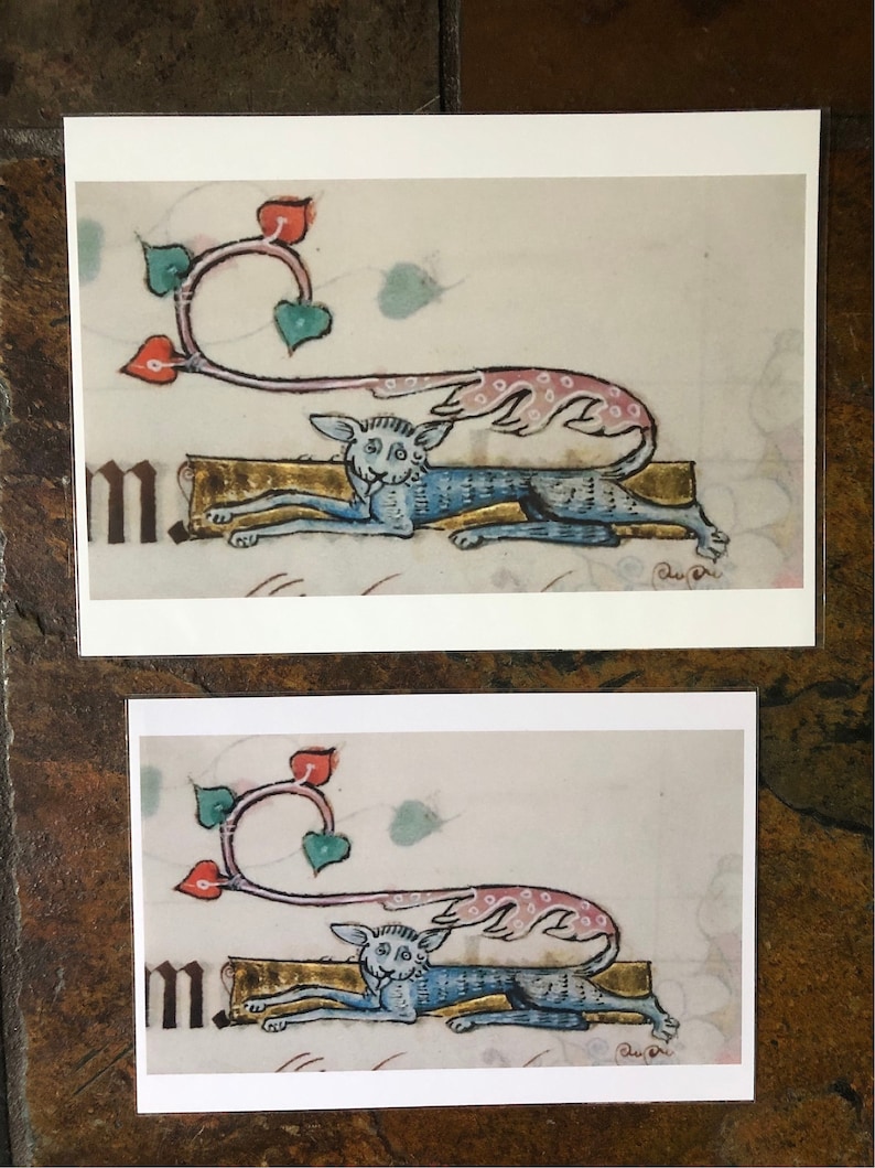 Looooong Boi Medieval Print, Cat Art Gift, Home Decor, Bestiary ...