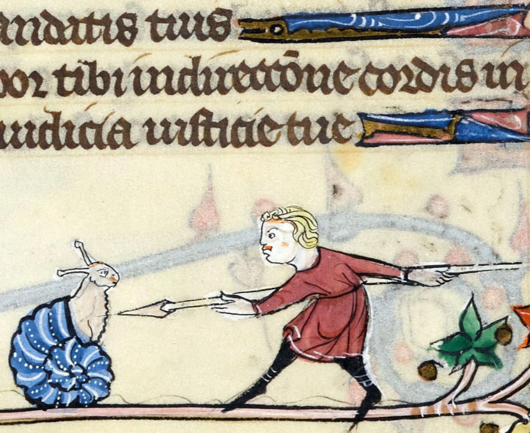 Snail Fight I Medieval Cat Print, Cat Gift, Home Decor, Authentic Art ...