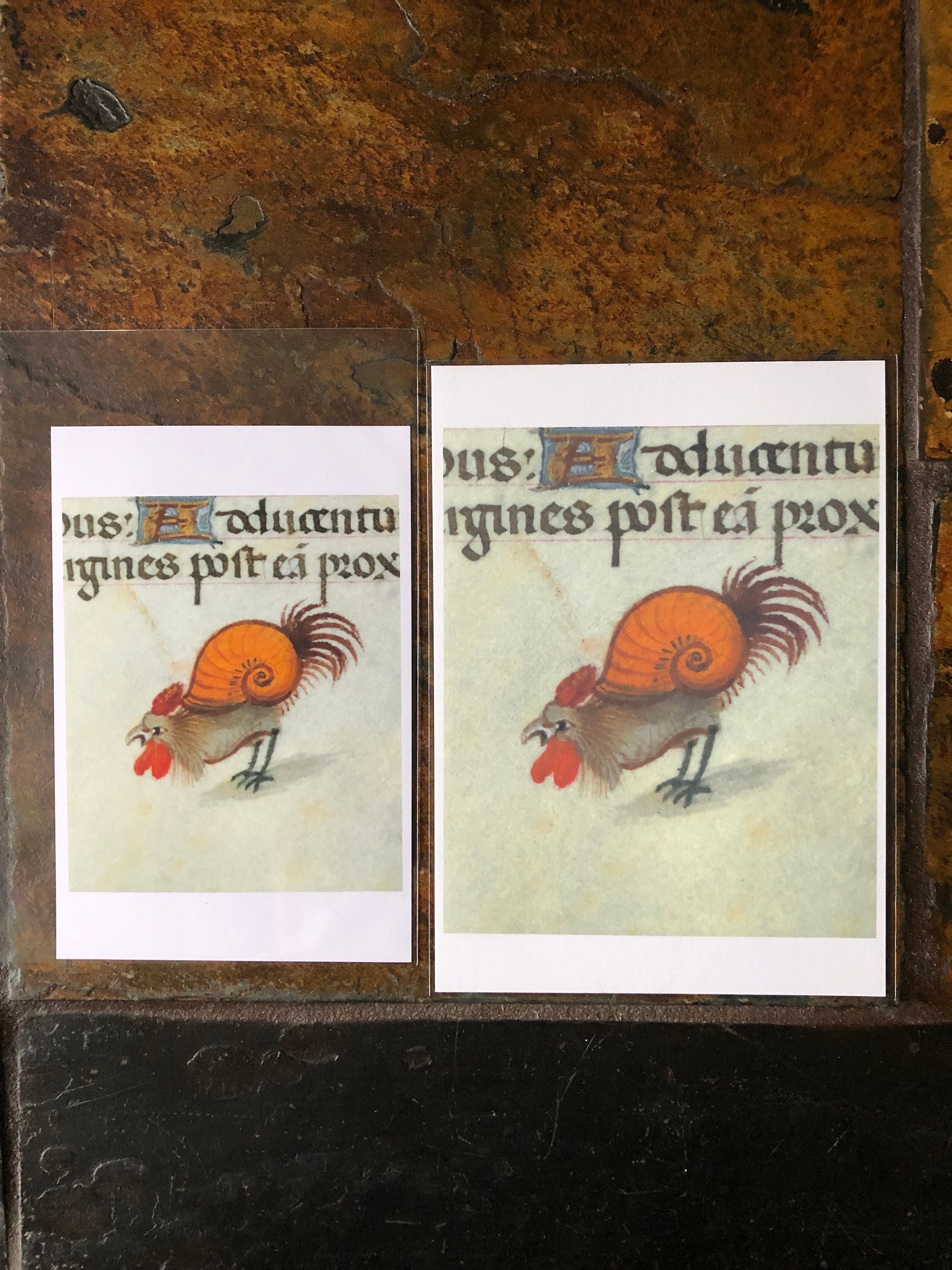 Snail Chicken I Renaissance Print, Poultry, Home Decor, Bestiary ...