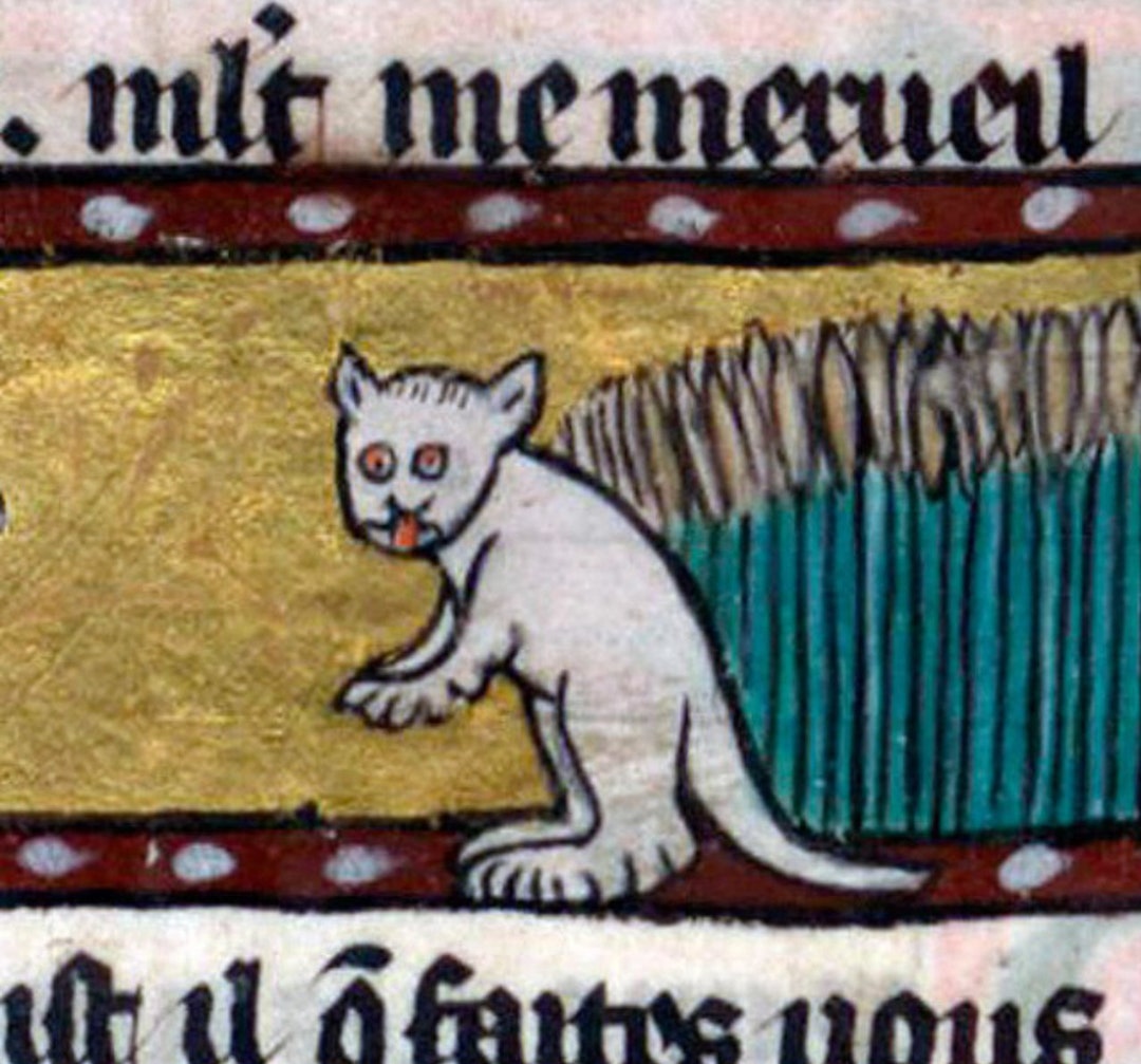 Drunk Cat Medieval Cat Print, Cat Gift, Home Decor, Authentic Art ...