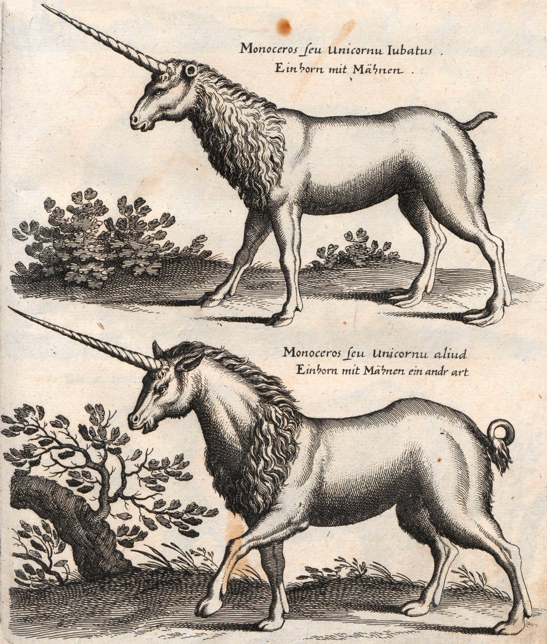 Unicorn I Renaissance Print, Fantasy Art Gift, Home Wall Decor ...