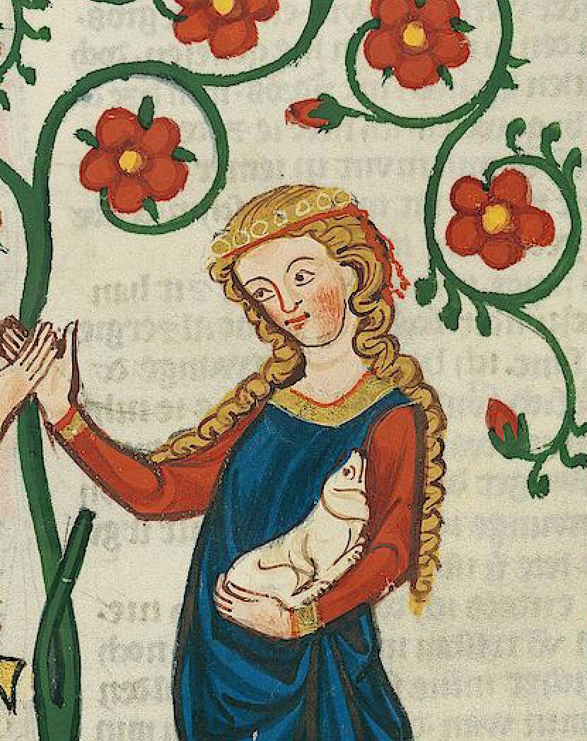 Dog Attends the Wedding Medieval Art Print, Codex Manesse, Botanical ...