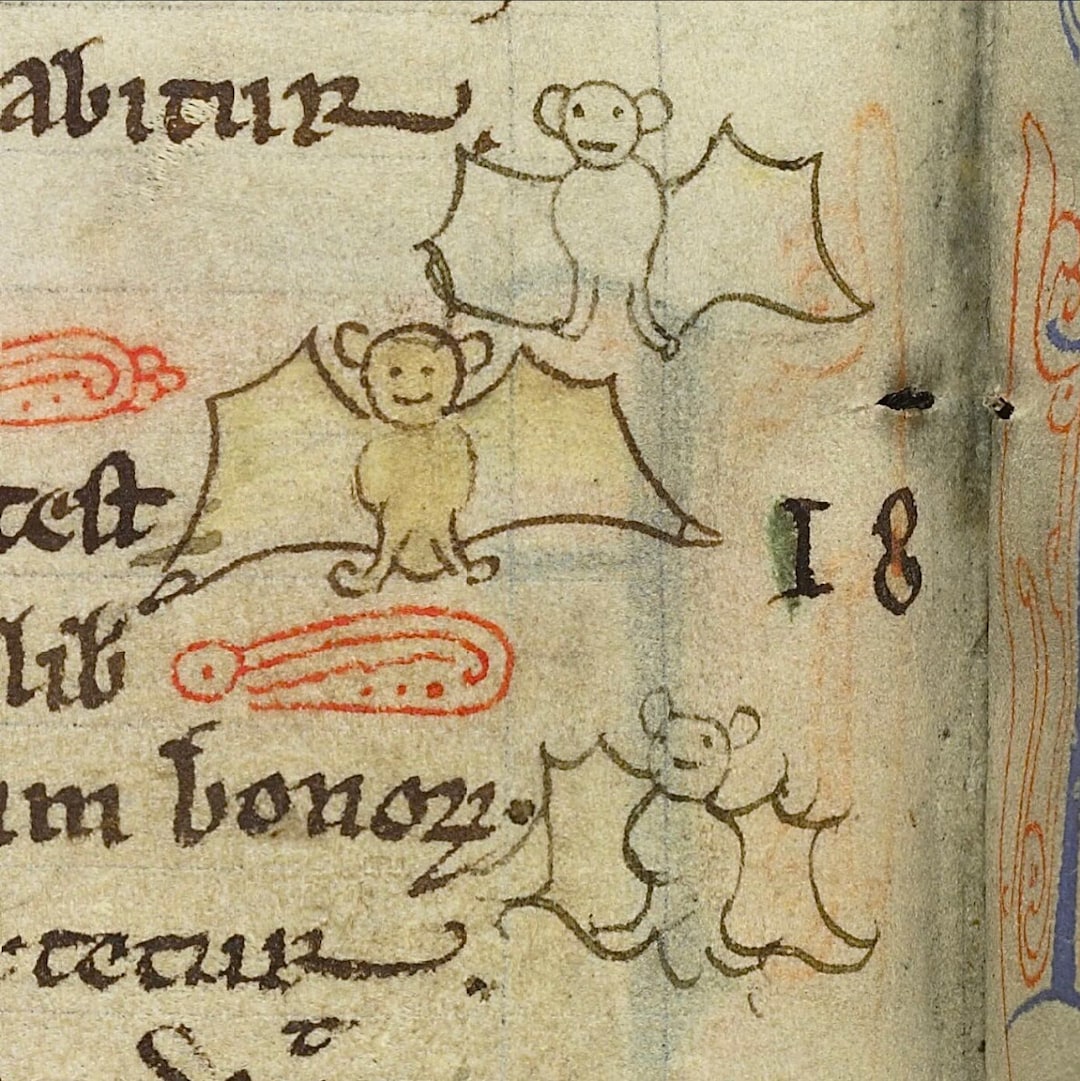 Happy Bats Medieval Print, Gift for Bat Lover, Home Decor, Weird Bat ...