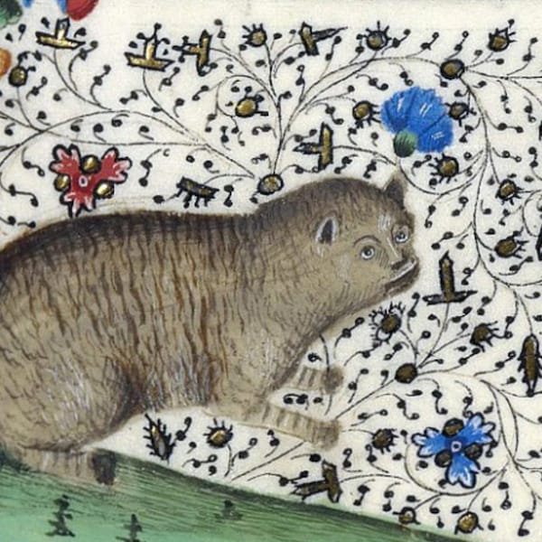 Medieval Cat Art - Etsy