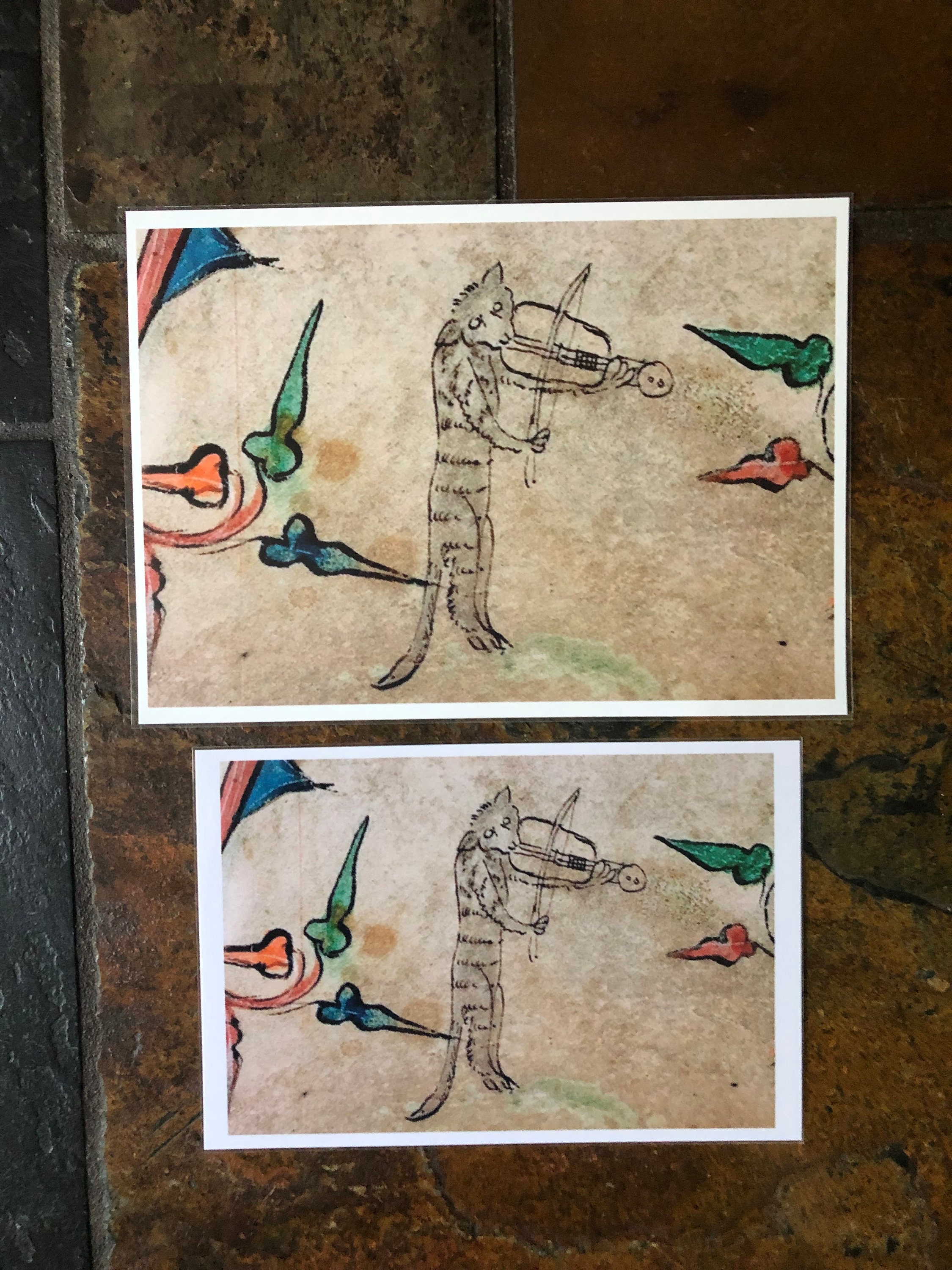 Rebec Medieval Print, Cat Art Gift, Home Wall Decor, Bestiary ...