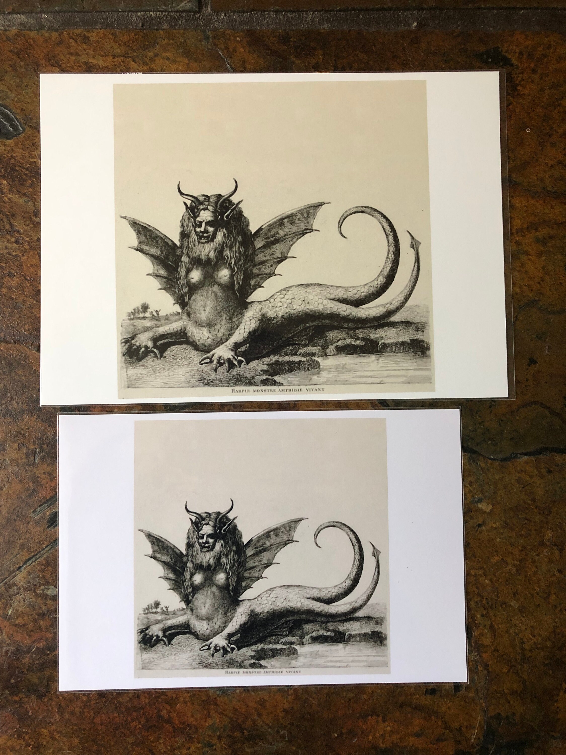 Happy Harpy Enlightenment Print, Home Decor, Fine Art, Mythical ...