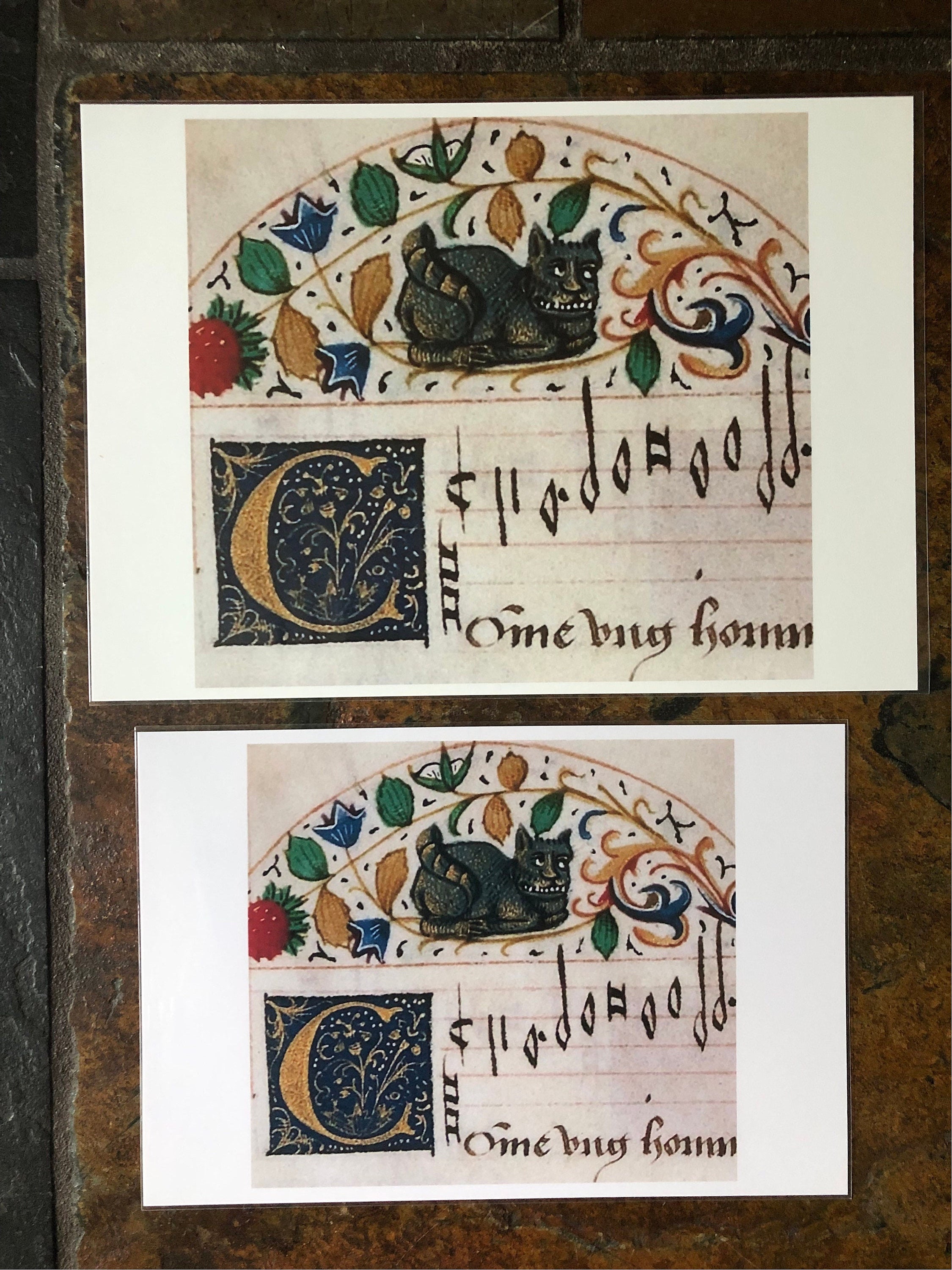 Cheesin' Medieval Print, Cat Art Gift, Home Decor, Bestiary, Marginalia ...