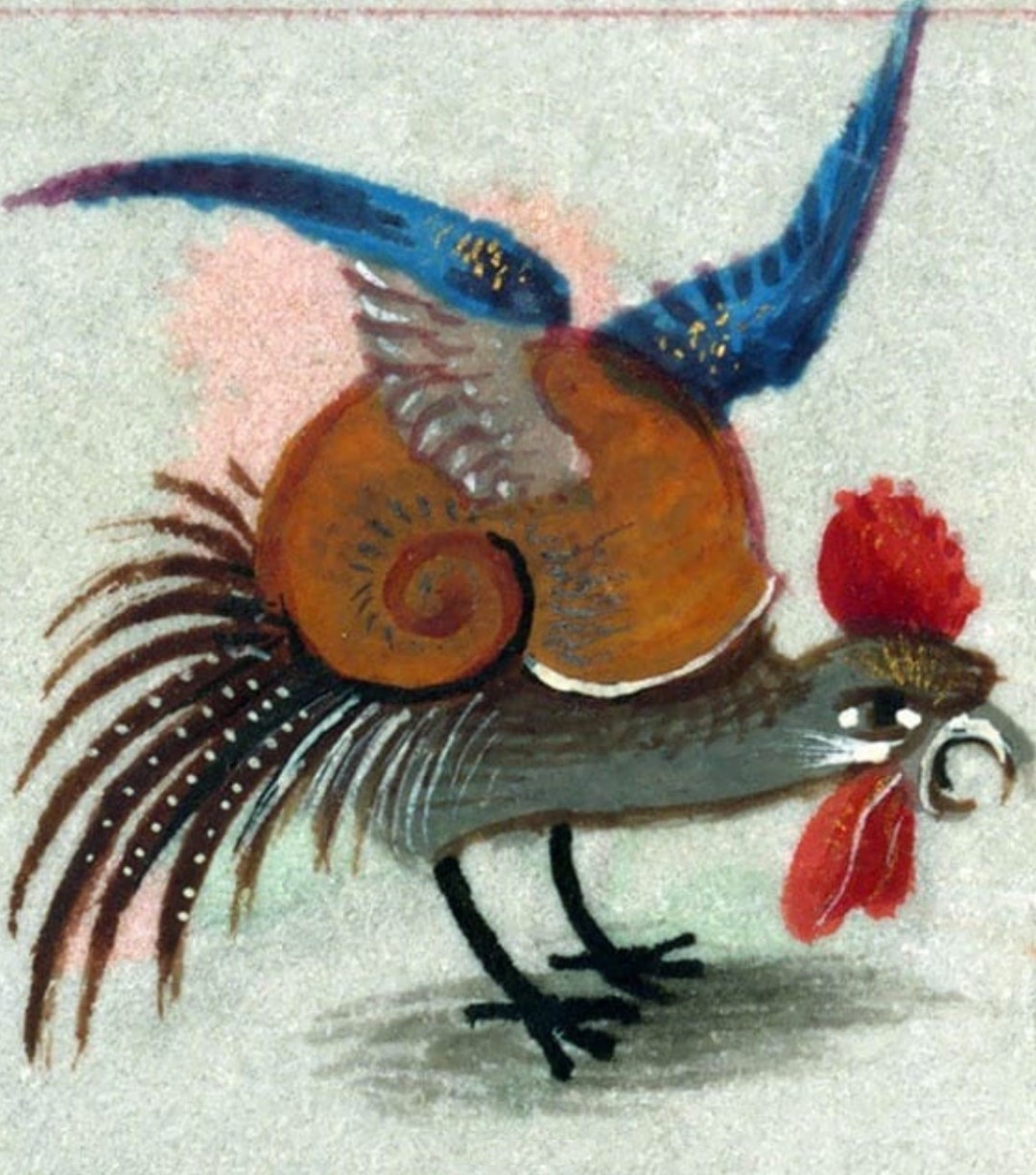 Snail Chicken II Renaissance Print, Poultry, Home Decor, Bestiary ...