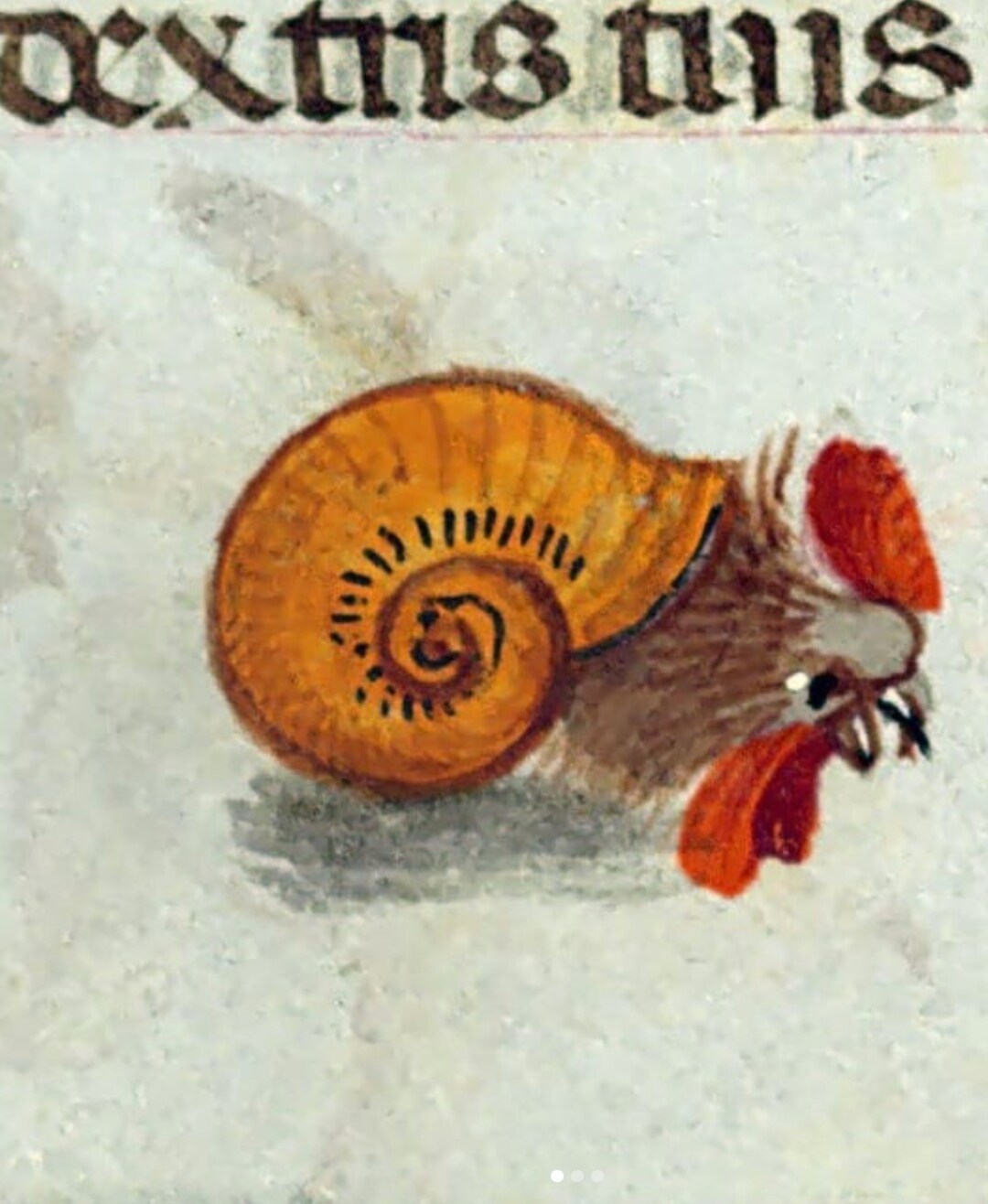 Snail Chicken III Renaissance Print Chicken Art Framable - Etsy