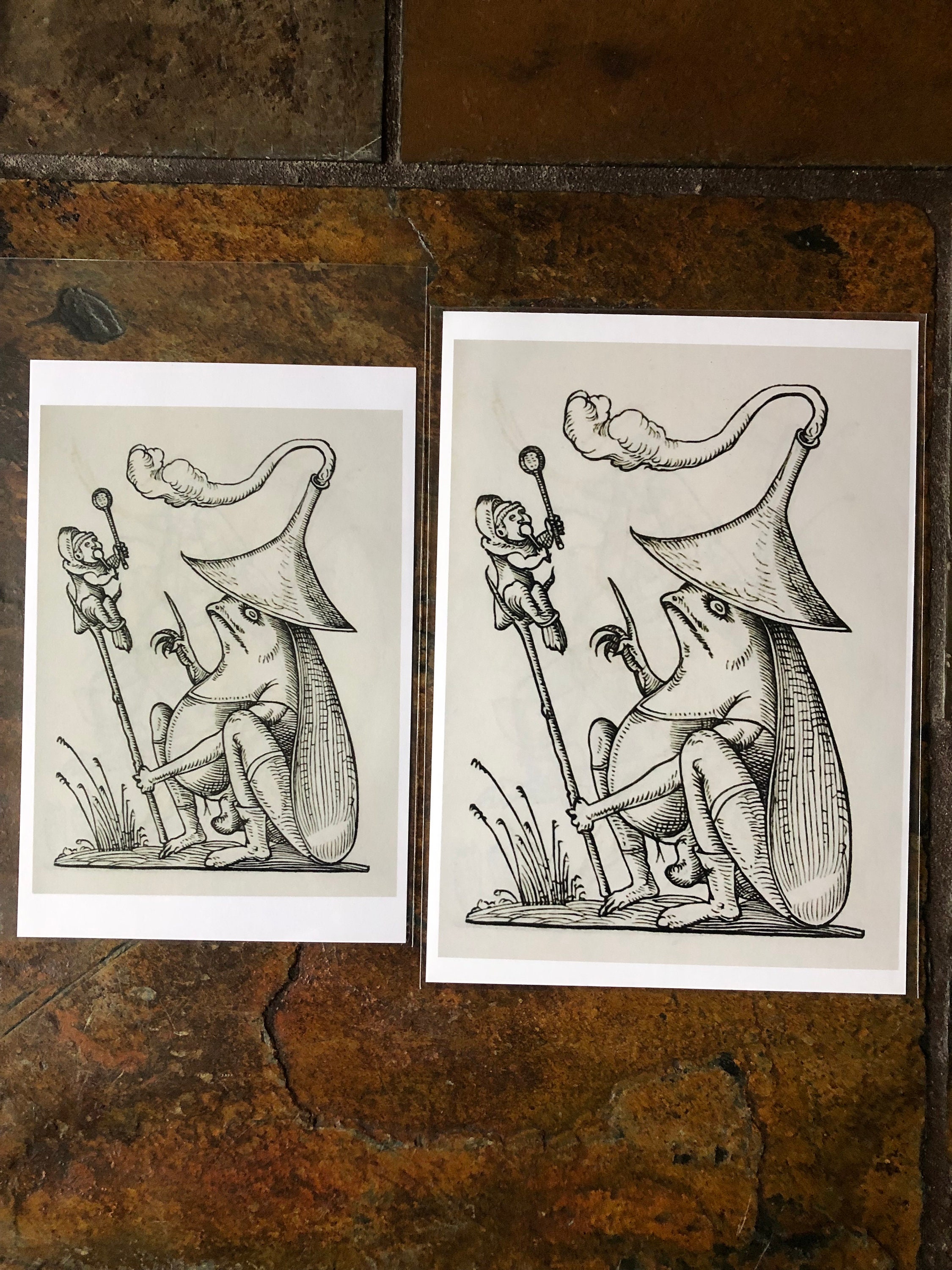 The Wisdom of Frogs Renaissance Print, Medieval Art, Woodcut, Richard ...